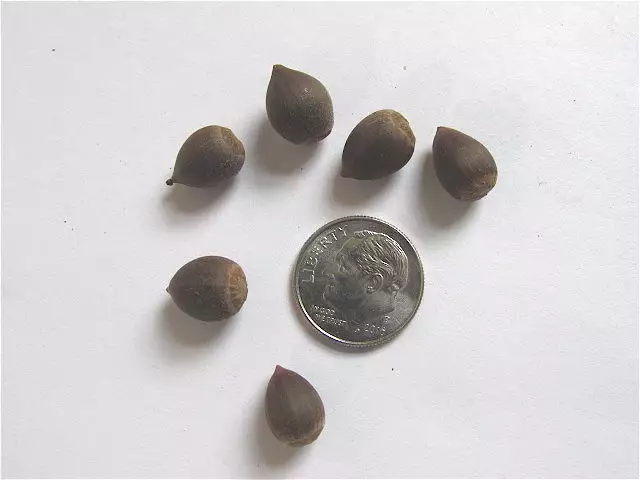 Sheffield's Seed Company