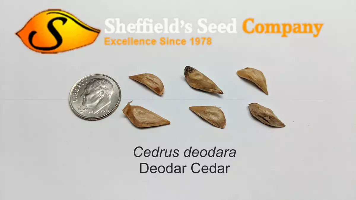 Sheffield's Seed Company