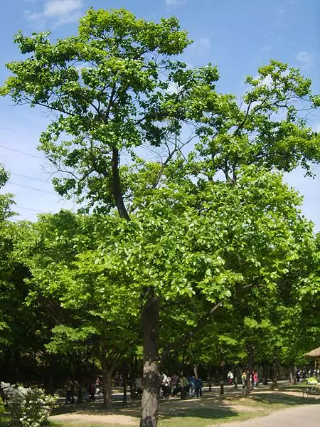 Sheffield's Seed Company