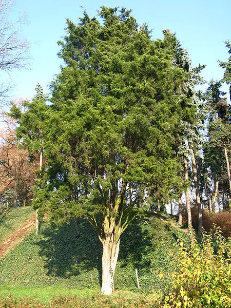 Sheffield's Seed Company