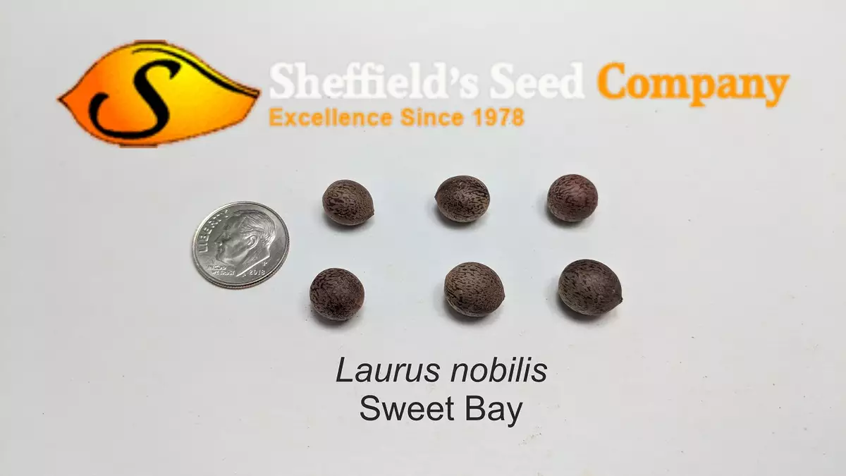 Sheffield's Seed Company