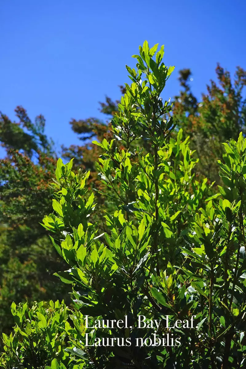 Sheffield's Seed Company