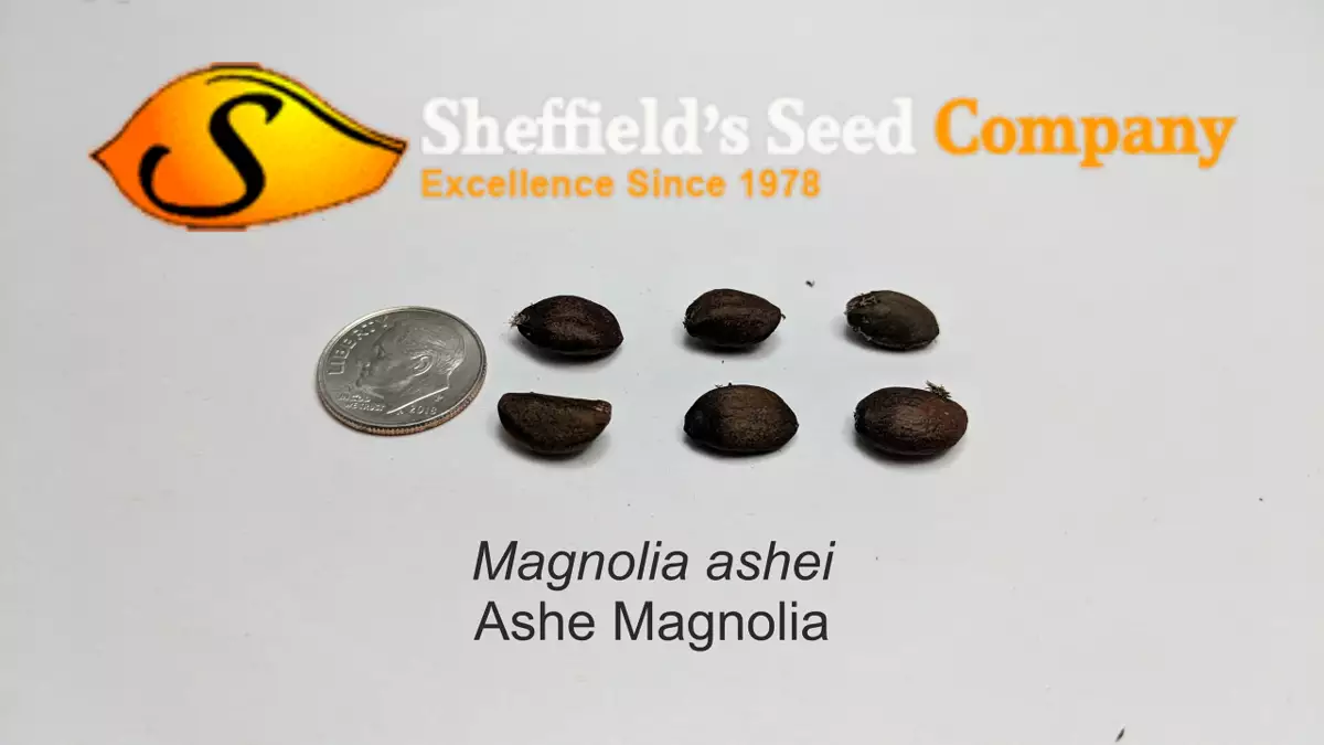 Sheffield's Seed Company
