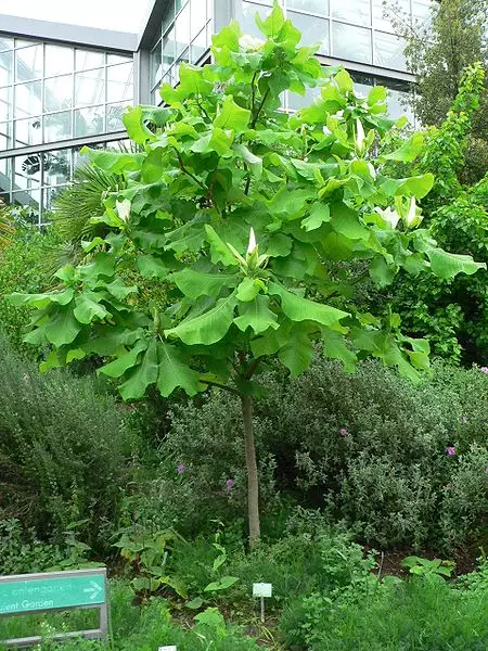 Sheffield's Seed Company