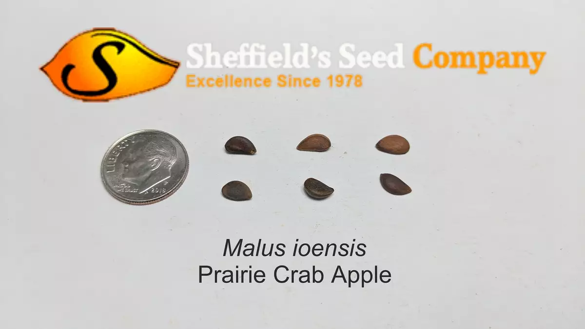 Sheffield's Seed Company