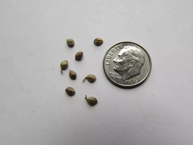 Sheffield's Seed Company