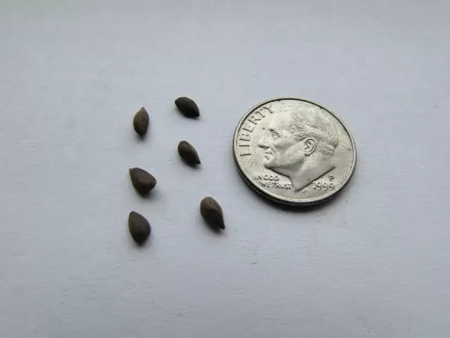 Sheffield's Seed Company