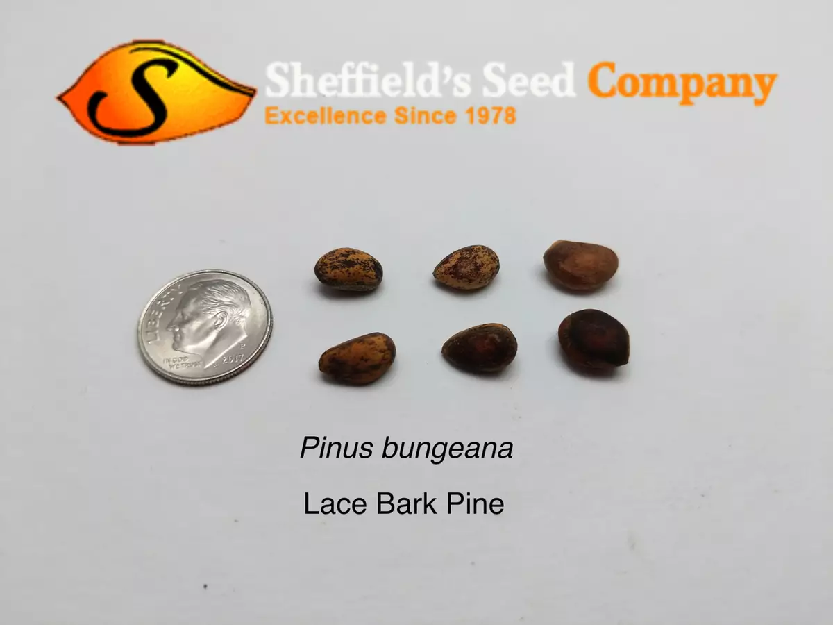 Sheffield's Seed Company