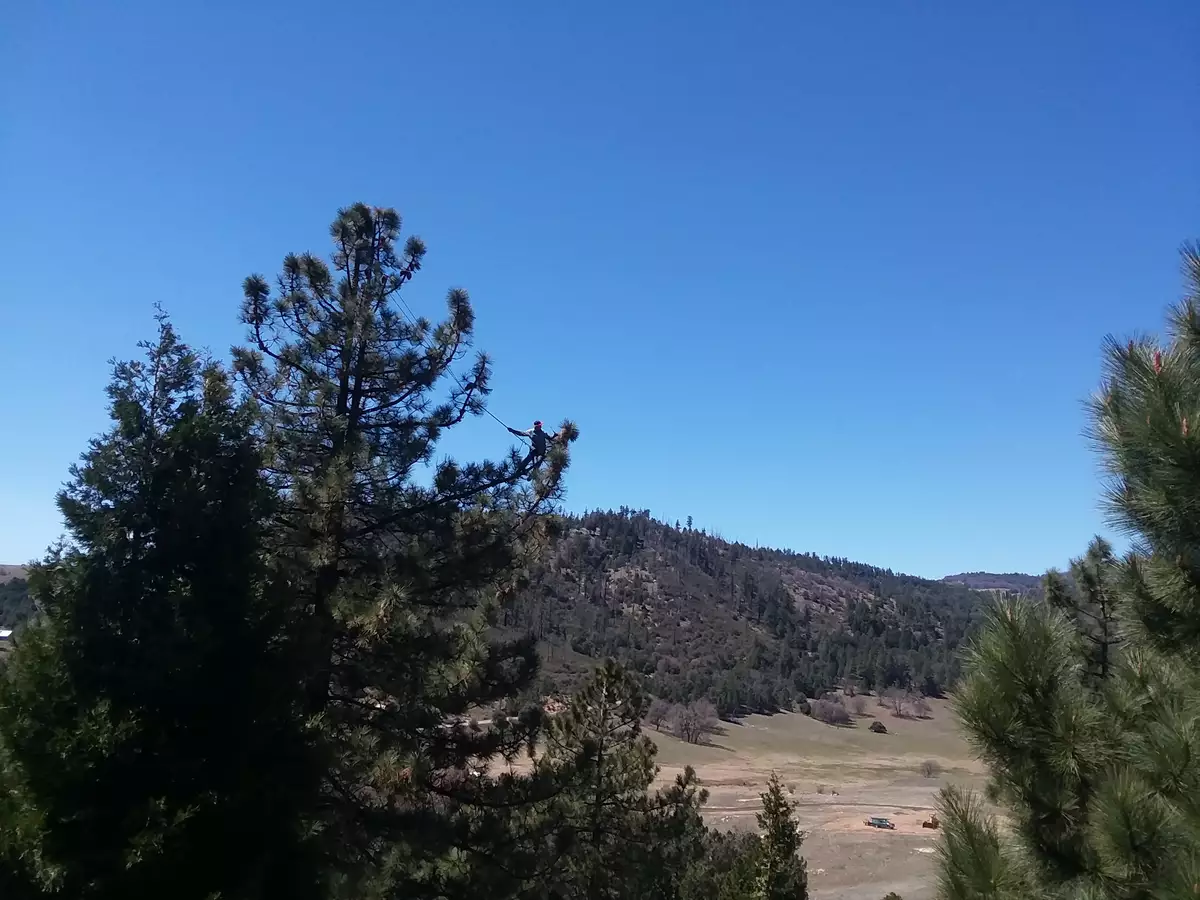 Sheffield's Seed Company