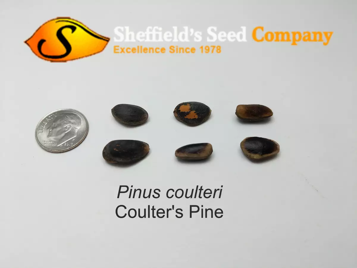 Sheffield's Seed Company