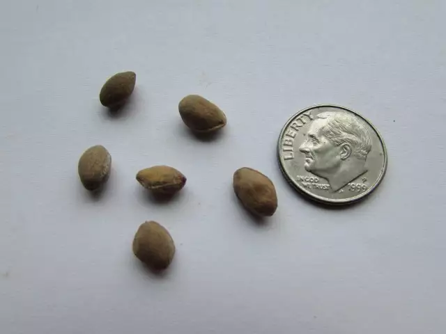 Sheffield's Seed Company