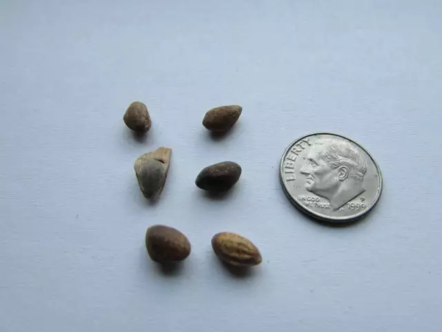 Sheffield's Seed Company