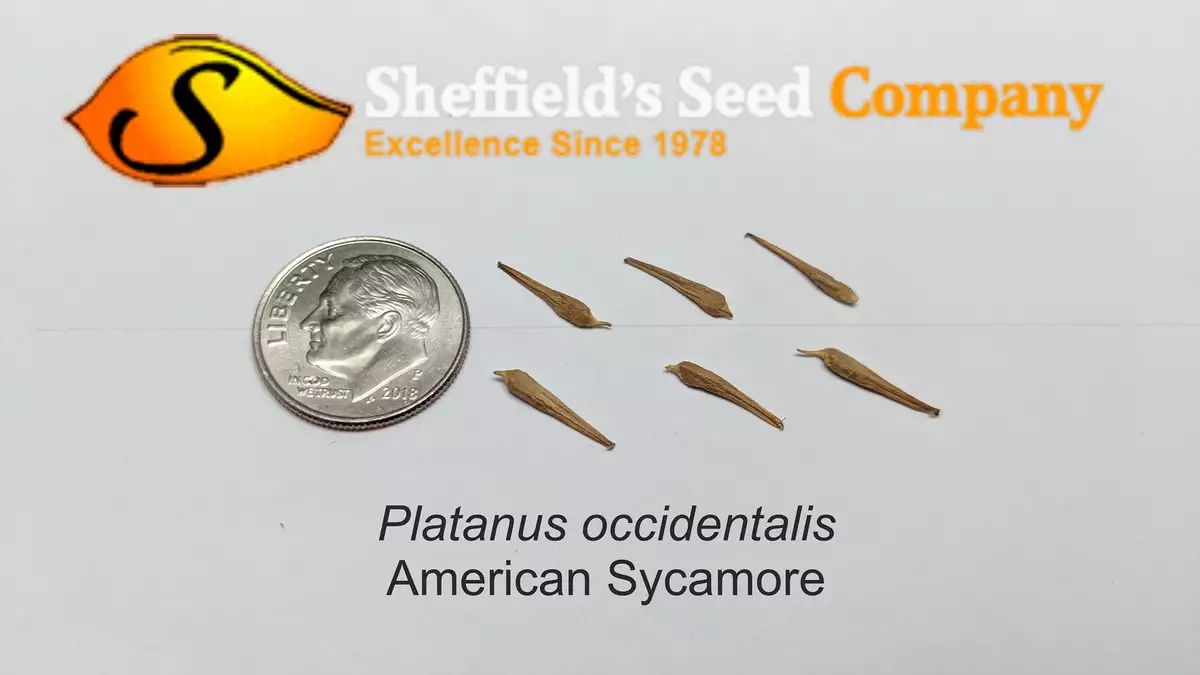 Sheffield's Seed Company