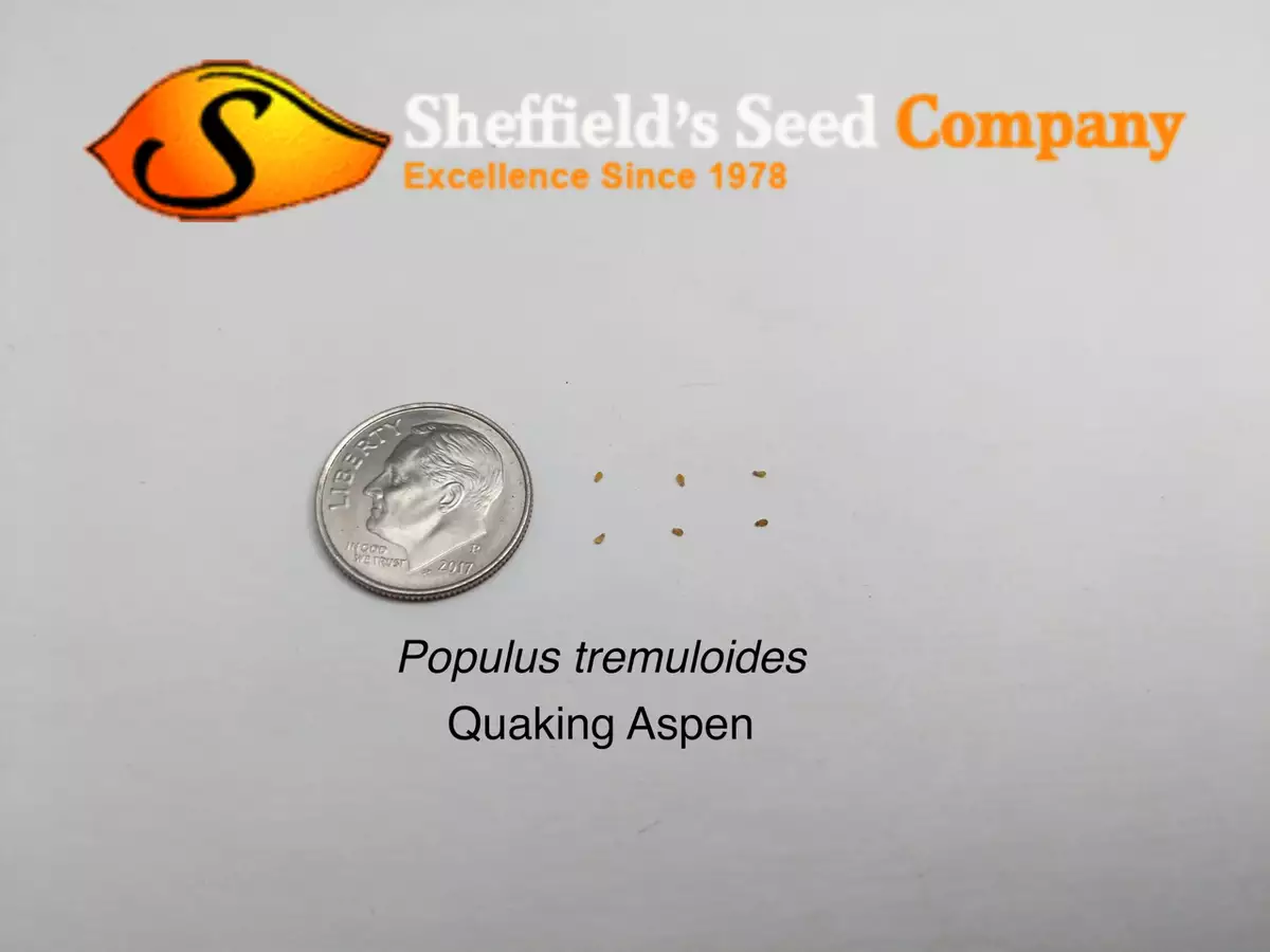 Sheffield's Seed Company