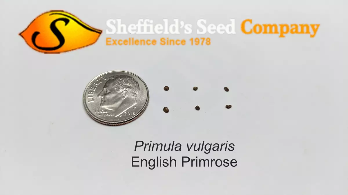 Sheffield's Seed Company