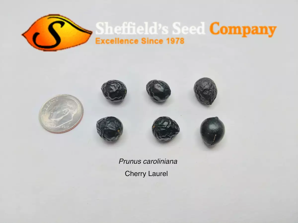 Sheffield's Seed Company