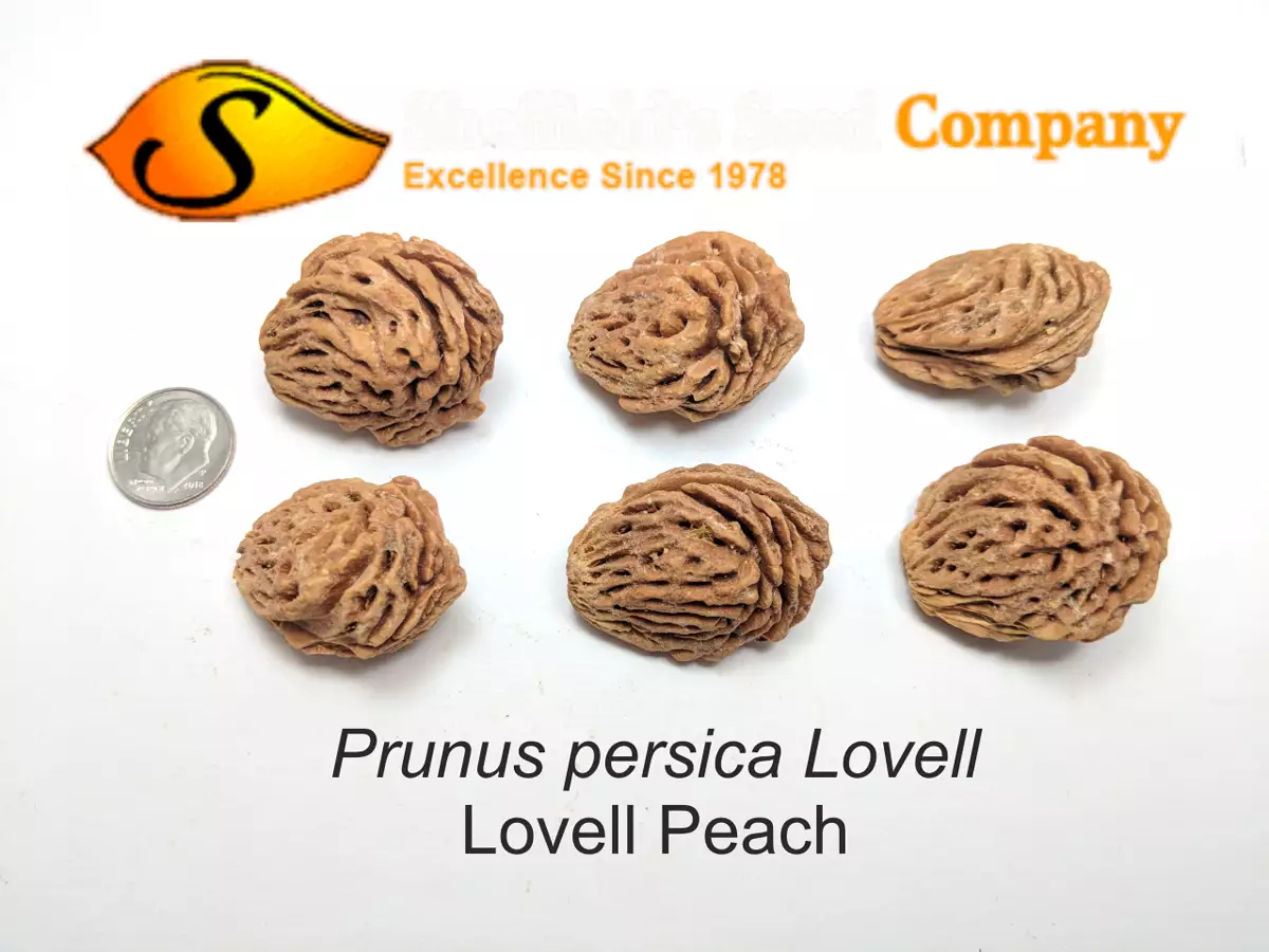 Sheffield's Seed Company