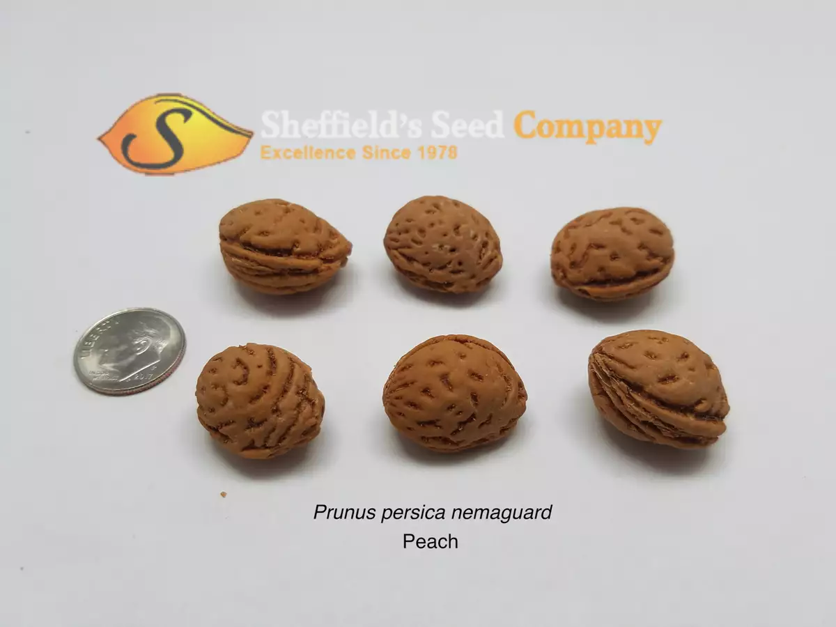 Sheffield's Seed Company