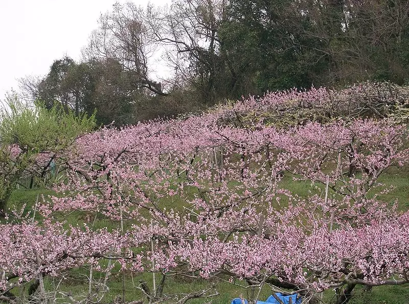 Sheffield's Seed Company
