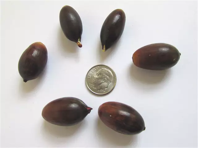 Sheffield's Seed Company