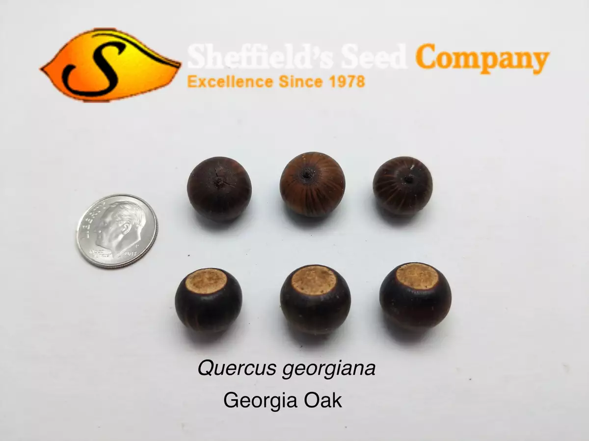 Sheffield's Seed Company