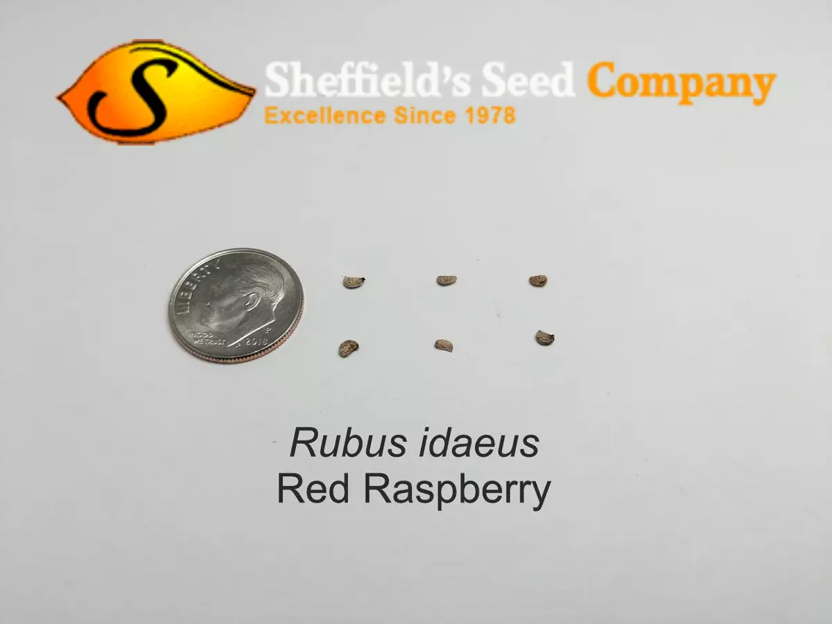 Sheffield's Seed Company