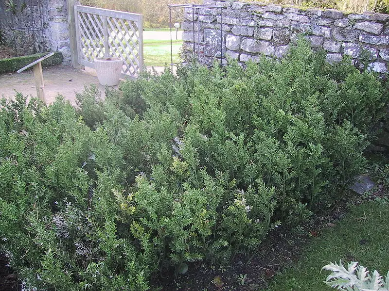 Sheffield's Seed Company