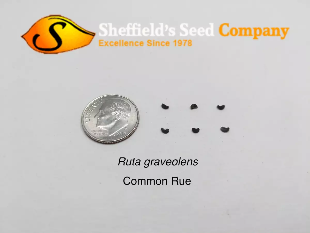 Sheffield's Seed Company