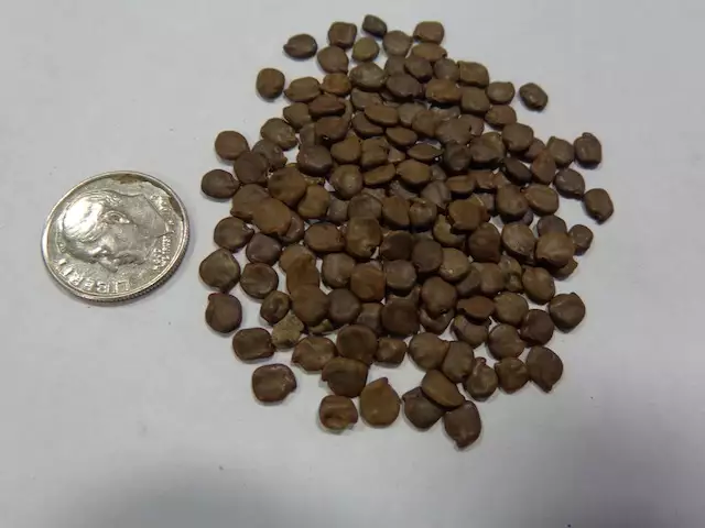 Sheffield's Seed Company