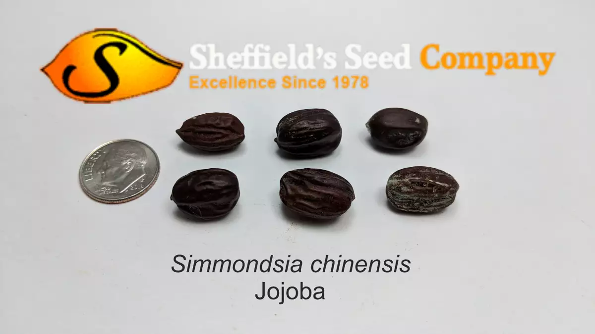 Sheffield's Seed Company