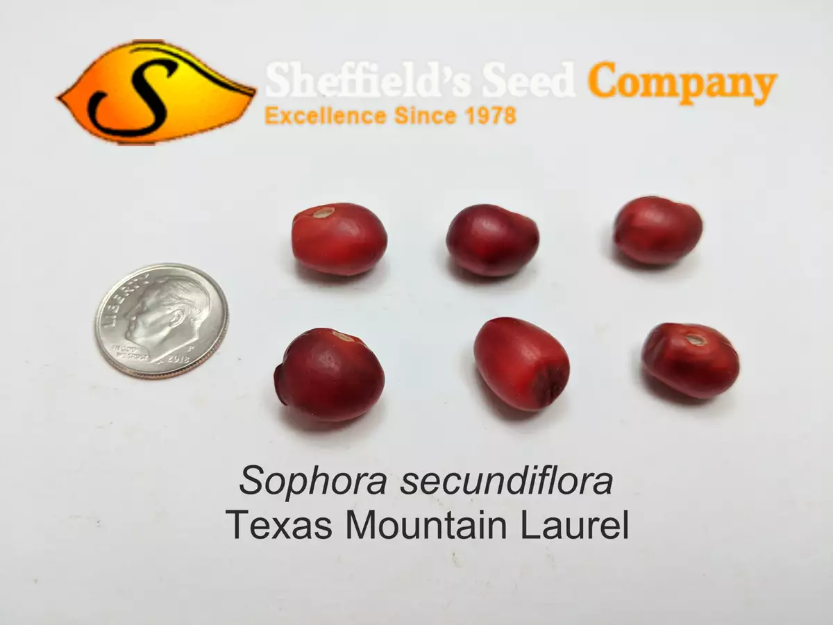 Sheffield's Seed Company