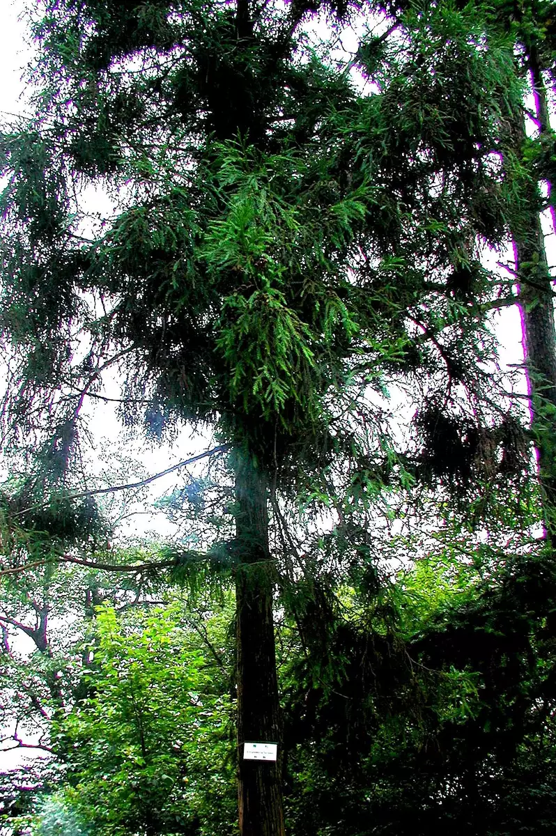 Sheffield's Seed Company